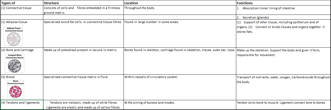 WBBSE Solutions For Class 9 Life Science Chapter 2 Levels Of ...