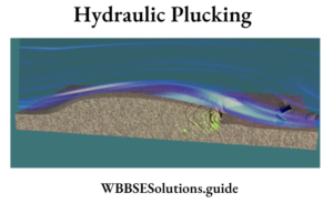 WBBSE Solutions For Class 10 Geography And Environment Chapter 1 ...