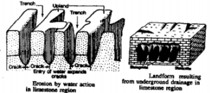 WBBSE Solutions For Class 9 Geography And Environment Chapter 5 ...