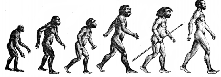 WBBSE Notes For Class 6 History Chapter 2 Primitive Man In The Indian ...