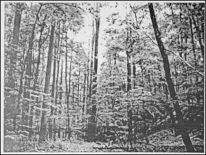 WBBSE Notes For Class 6 Physical Geography Chapter 10 India - Natural ...