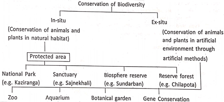 WBBSE Notes For Class 8 General Science And Environment Chapter 10 ...