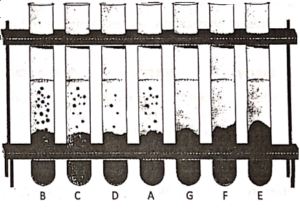 WBBSE Notes For Class 8 General Science And Environment Chapter 2 ...