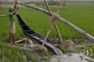 WBBSE Notes For Class 8 General Science And Environment Chapter 8 Human ...