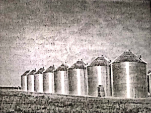 WBBSE Notes For Class 8 General Science And Environment Chapter 8 Human ...