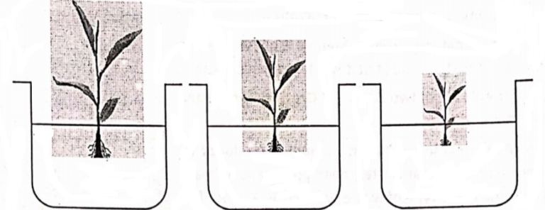 WBBSE Notes For Class 8 General Science And Environment Chapter 8 Human ...