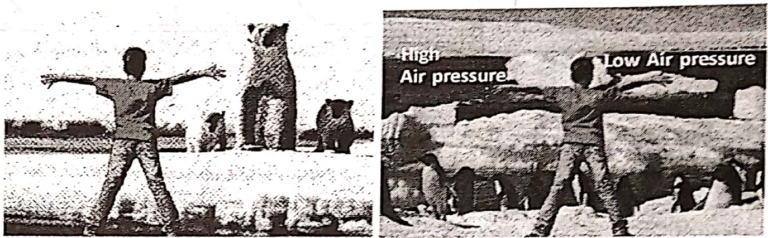 WBBSE Notes For Class 8 Geography Chapter 4 Pressure Belts And Winds ...