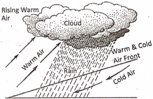 WBBSE Solutions - West Bengal Board Solutions for Class 6, 7, 8, 9 and 10