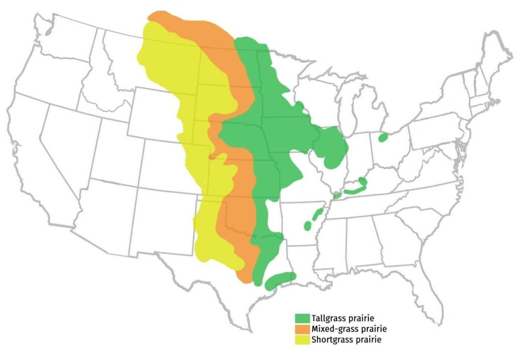 Class 8 Middle School Geography Archives - WBBSE Solutions