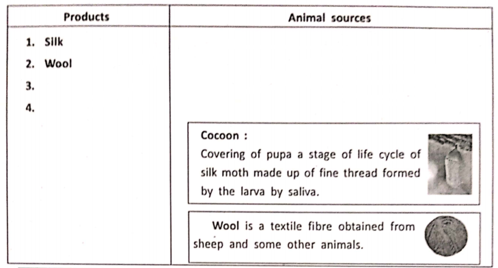 WBBSE Notes For Class 6 General Science And Environment Chapter 1 ...