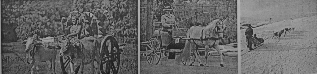 WBBSE Notes For Class 6 General Science And Environment Chapter 1 ...