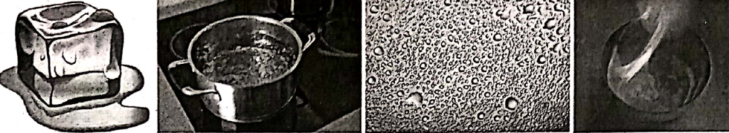 WBBSE Notes For Class 6 General Science And Environment Chapter 2 ...