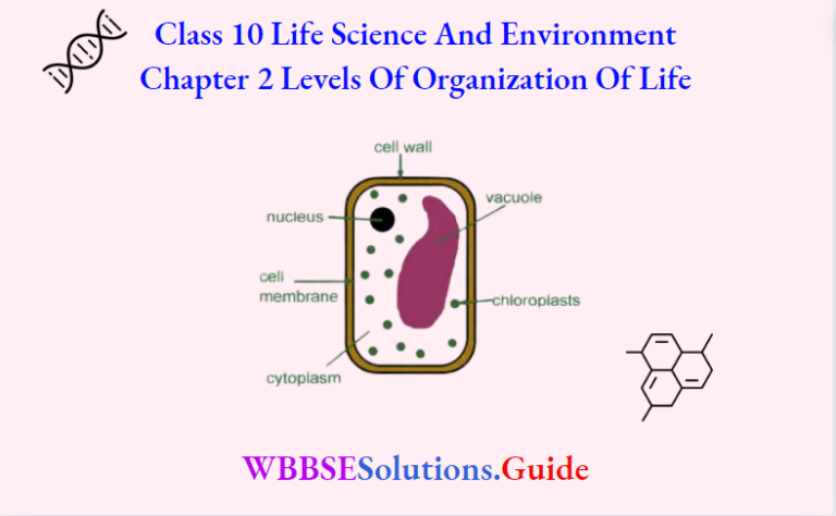 WBBSE Solutions For Class 10 Life Science Chapter 2 Levels Of ...