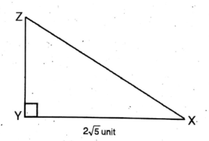 WBBSE Solutions For Class 10 Maths Chapter 23 Trigonometric Ratios And ...