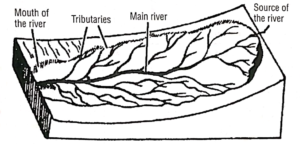 WBBSE Notes For Class 7 Geography Chapter 5 River - WBBSE Solutions