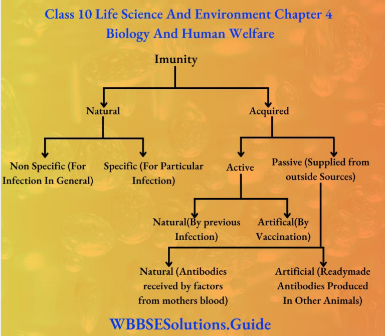 WBBSE Solutions For Class 10 Life Science Chapter 4 Biology And Human ...