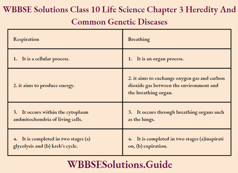 WBBSE Solutions Class 10 Life Science Chapter 3 Heredity And Common ...