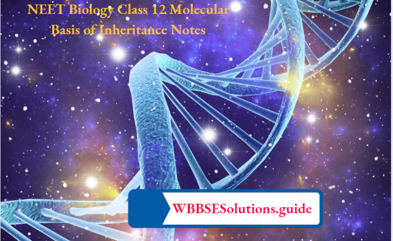 NEET Biology Class 12 Molecular Basis of Inheritance Notes - WBBSE ...