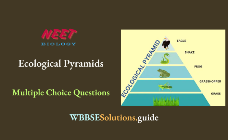 NEET Biology Ecological Pyramids Multiple Choice Question And Answers ...