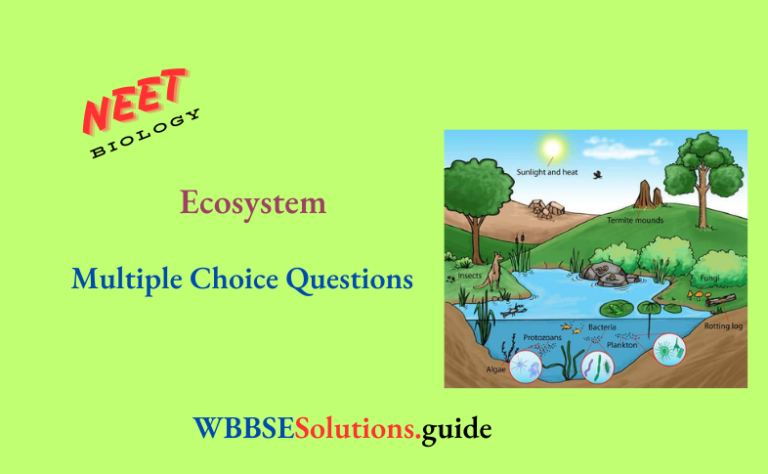 NEET Biology Ecosystem Miscellaneous Multiple Choice Question And ...