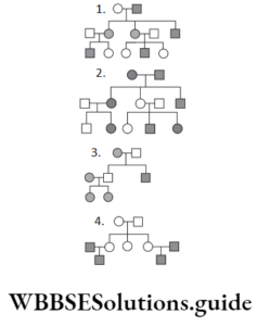 NEET Biology Pedigree Analysis And Genetic Disorders Multiple Choice ...