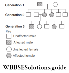 NEET Biology Pedigree Analysis And Genetic Disorders Multiple Choice ...