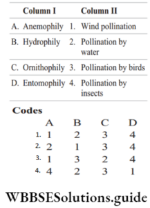NEET Biology Pollination Multiple Choice Question And Answers - WBBSE ...