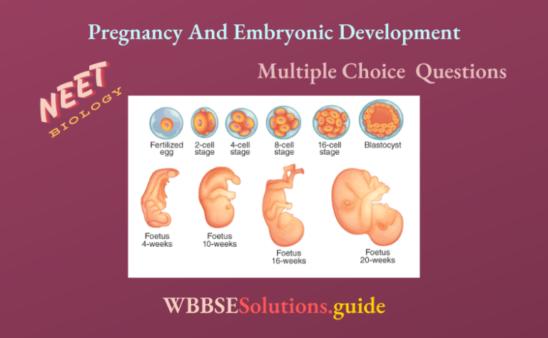NEET Biology Pregnancy And Embryonic Development Multiple Choice ...