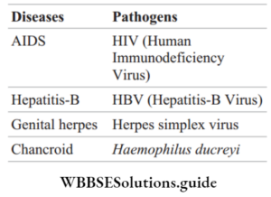 NEET Biology Sexually Transmitted Infections Multiple Choice Question ...