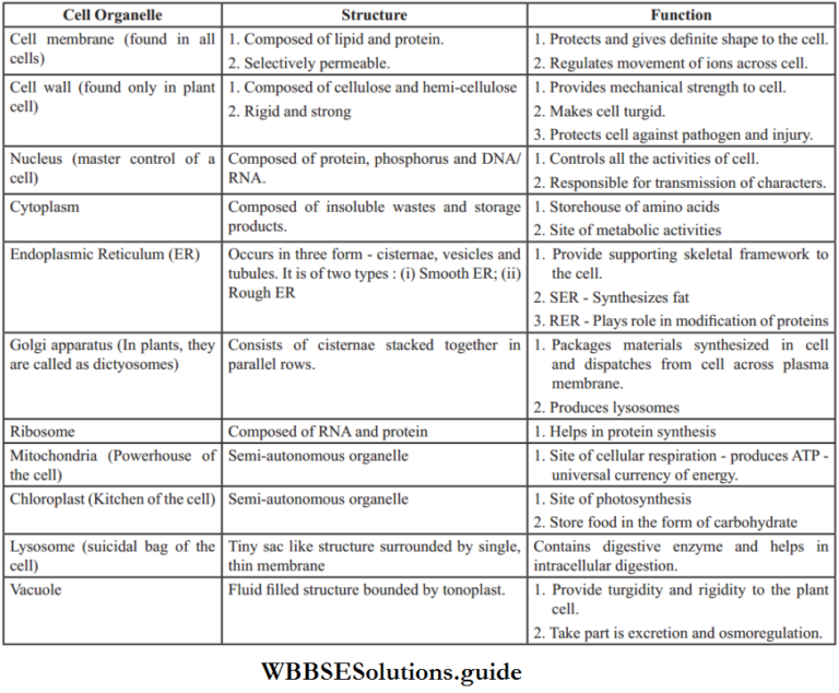 NEET Biology Class 9 Chapter 1 The Fundamental Unit of Life Notes ...