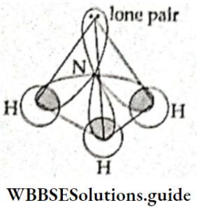 WBCHSE Class 11 Chemistry Notes For Hybridization - Definition, Types ...