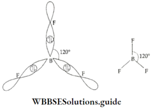 WBCHSE Class 11 Chemistry Notes For Hybridization - Definition, Types ...