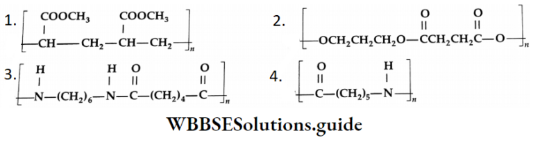 Polymers Types, Classification, Properties - WBBSE Solutions
