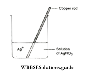Redox Reactions - Examples, Types and Applications - WBBSE Solutions