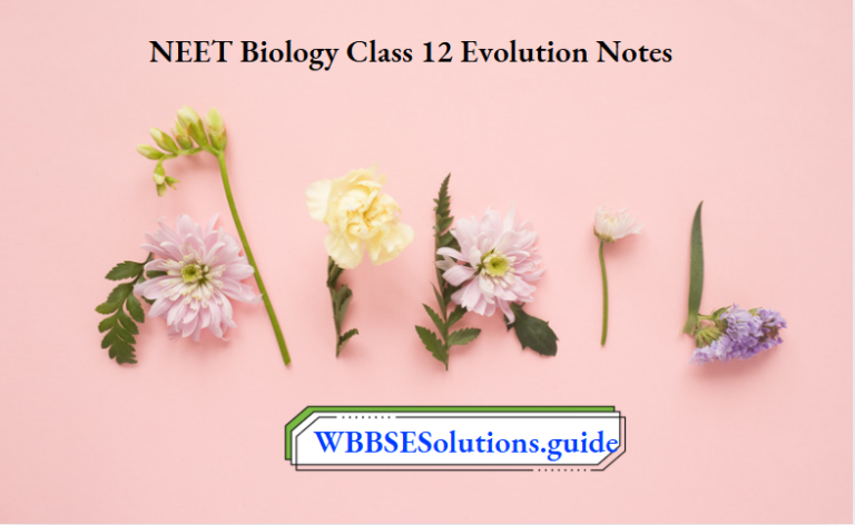 NEET Biology Class 12 Evolution Notes - WBBSE Solutions