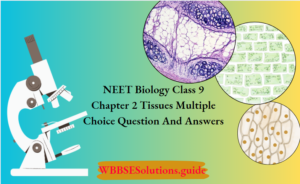NEET Biology Class 9 Chapter 2 Tissues Multiple Choice Question And ...