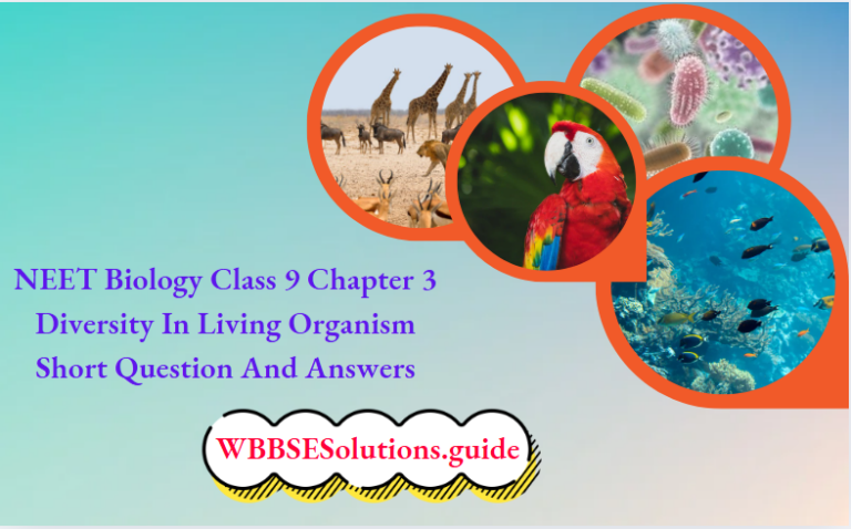 NEET Biology Class 9 Chapter 3 Diversity In Living Organism Short ...
