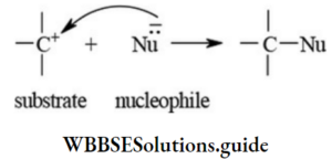NEET General Organic Chemistry Concepts In Organic Reaction Mechanism ...
