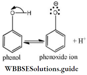 NEET General Organic Chemistry Classification Question And Answers ...