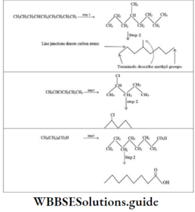 NEET General Organic Chemistry Introduction Notes - WBBSE Solutions