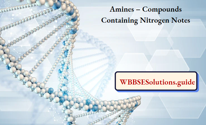 Amines – Compounds Containing Nitrogen Notes - WBBSE Solutions