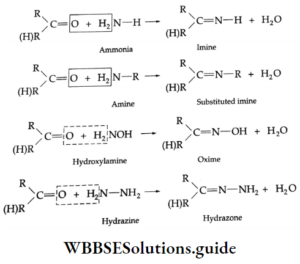 Aldehydes, Ketones And Carboxylic Acids Notes - WBBSE Solutions