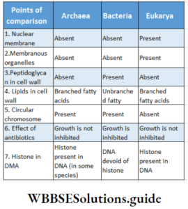 Archaebacteria Characteristics and Types Notes - WBBSE Solutions