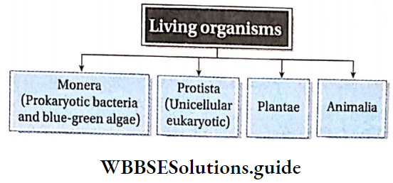 Classification System Of Living Organisms Notes - WBBSE Solutions
