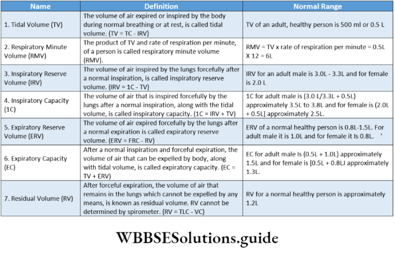 Breathing And Exchange Of Gases Notes - WBBSE Solutions