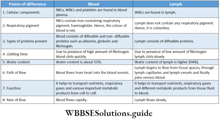 WBCHSE Class 11 Biology Notes For Lymph - WBBSE Solutions