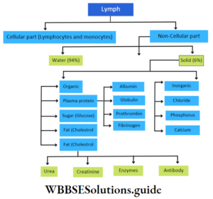 WBCHSE Class 11 Biology Notes For Lymph - WBBSE Solutions