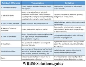 Translocation Of Mineral - WBBSE Solutions