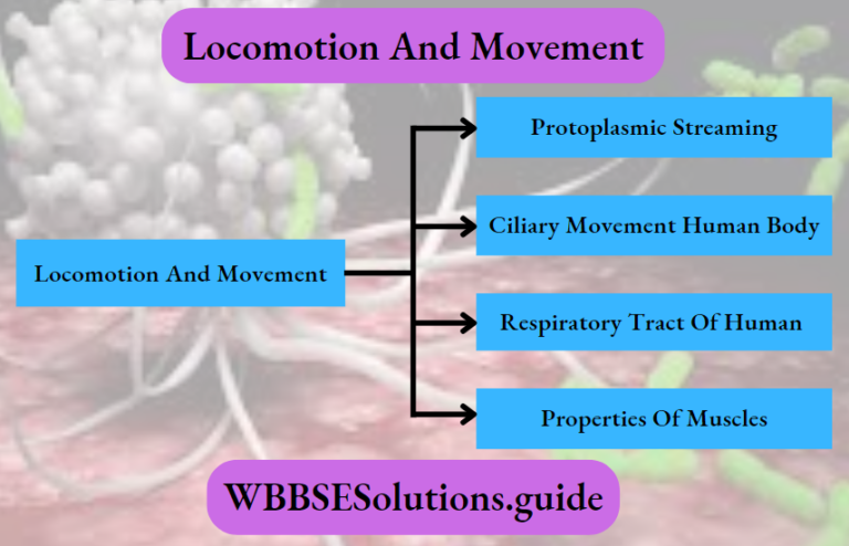 Locomotion And Movement Question And Answers - WBBSE Solutions