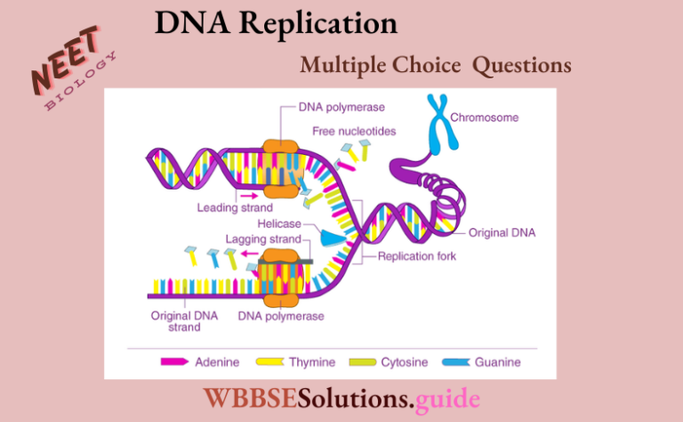 NEET Biology DNA Replication Multiple Choice Question And Answers ...